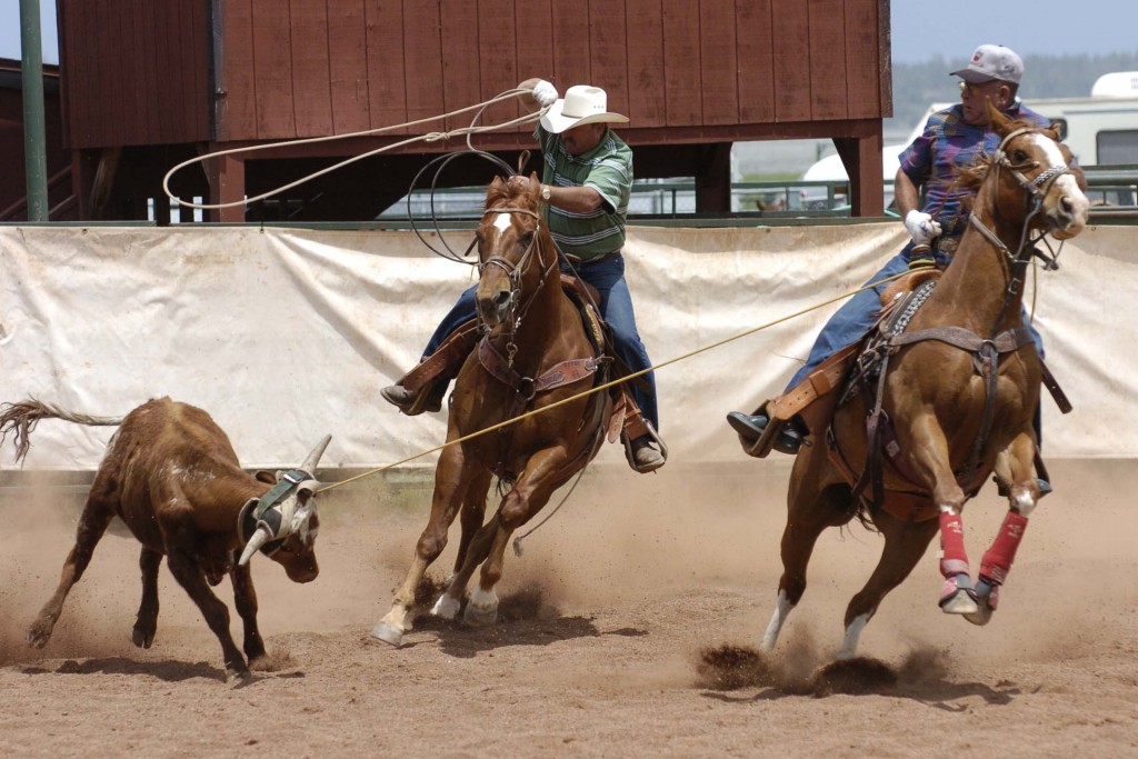 Team Roping – Richard Beal