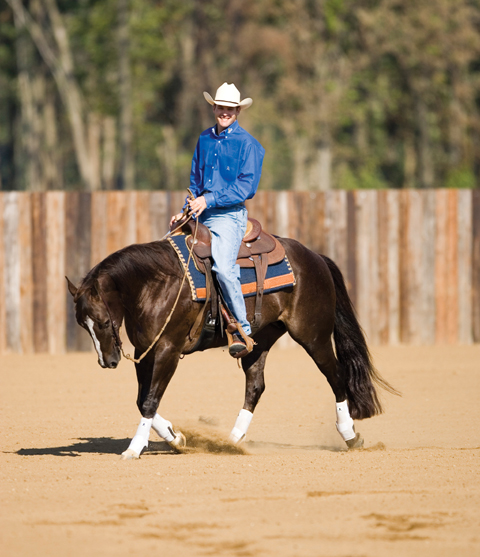 Downunder Horsemanship® By Clinton Anderson – Richard Beal
